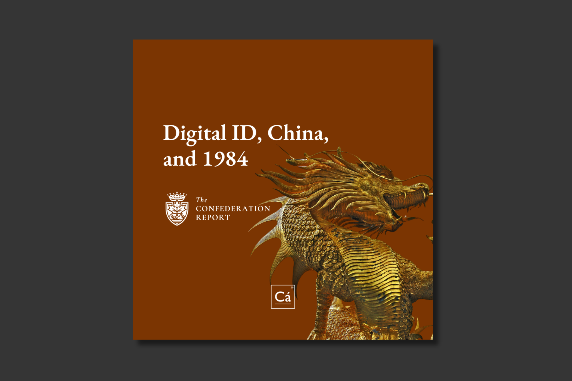 The Confederation Report: Digital ID, China, and 1984 - Cántaro Institute